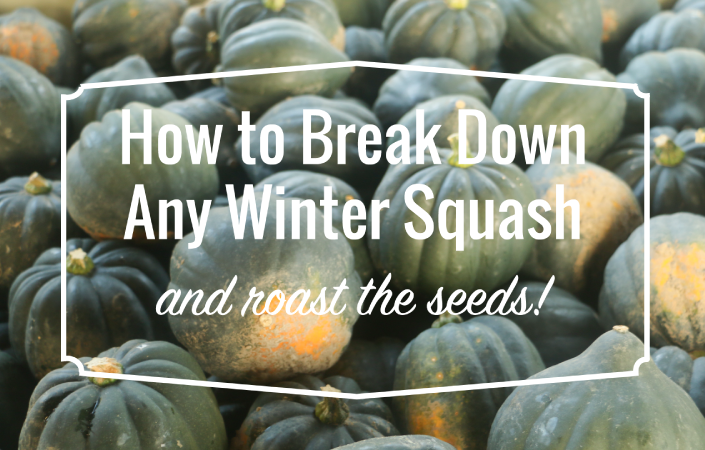 break-down-any-squash | Main Street Farms